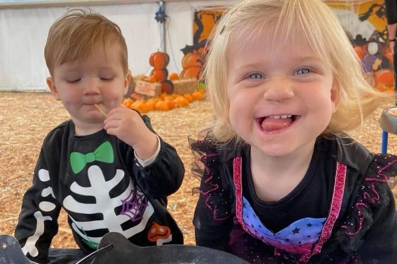 Devon theme park to host monster Halloween takeover