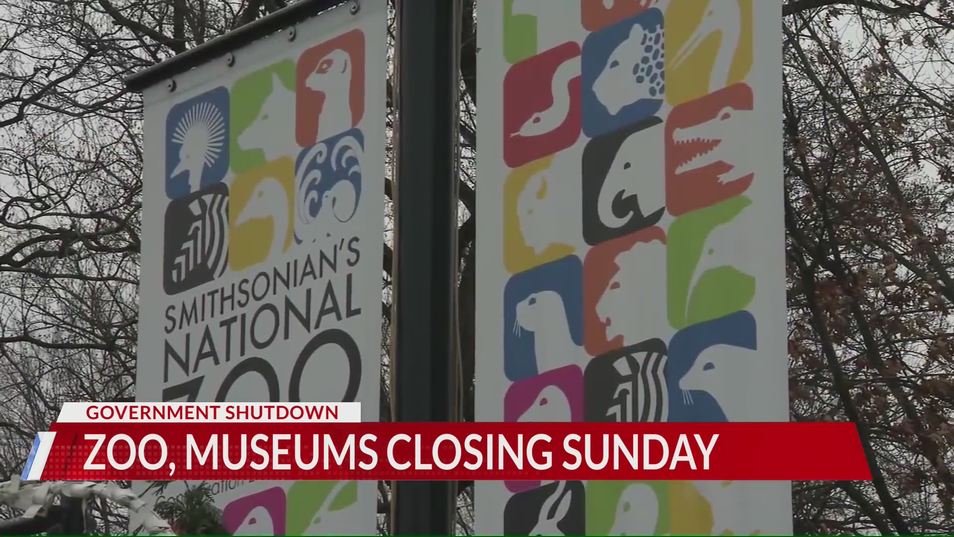 Zoos, museum closing Sunday