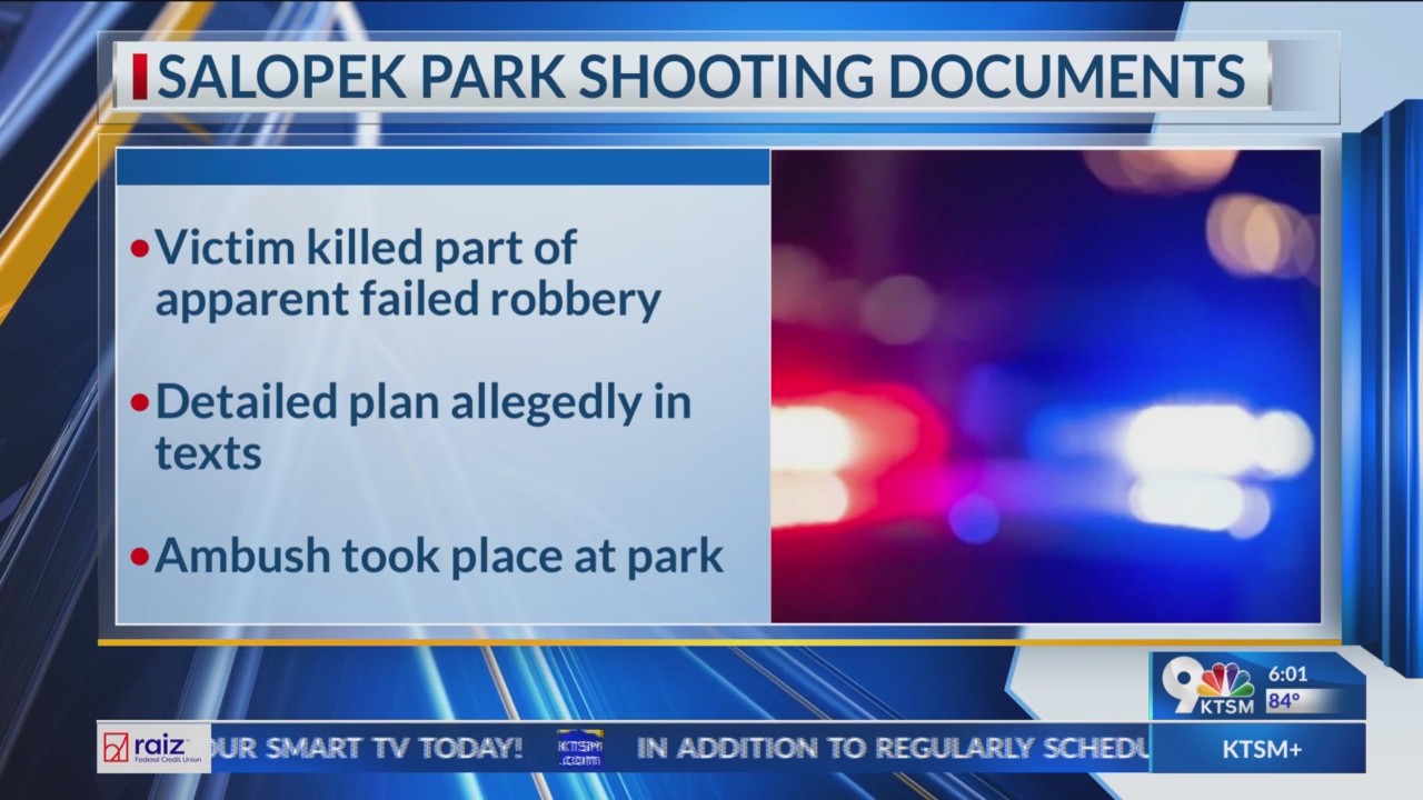 Woman killed in robbery attempt that went wrong