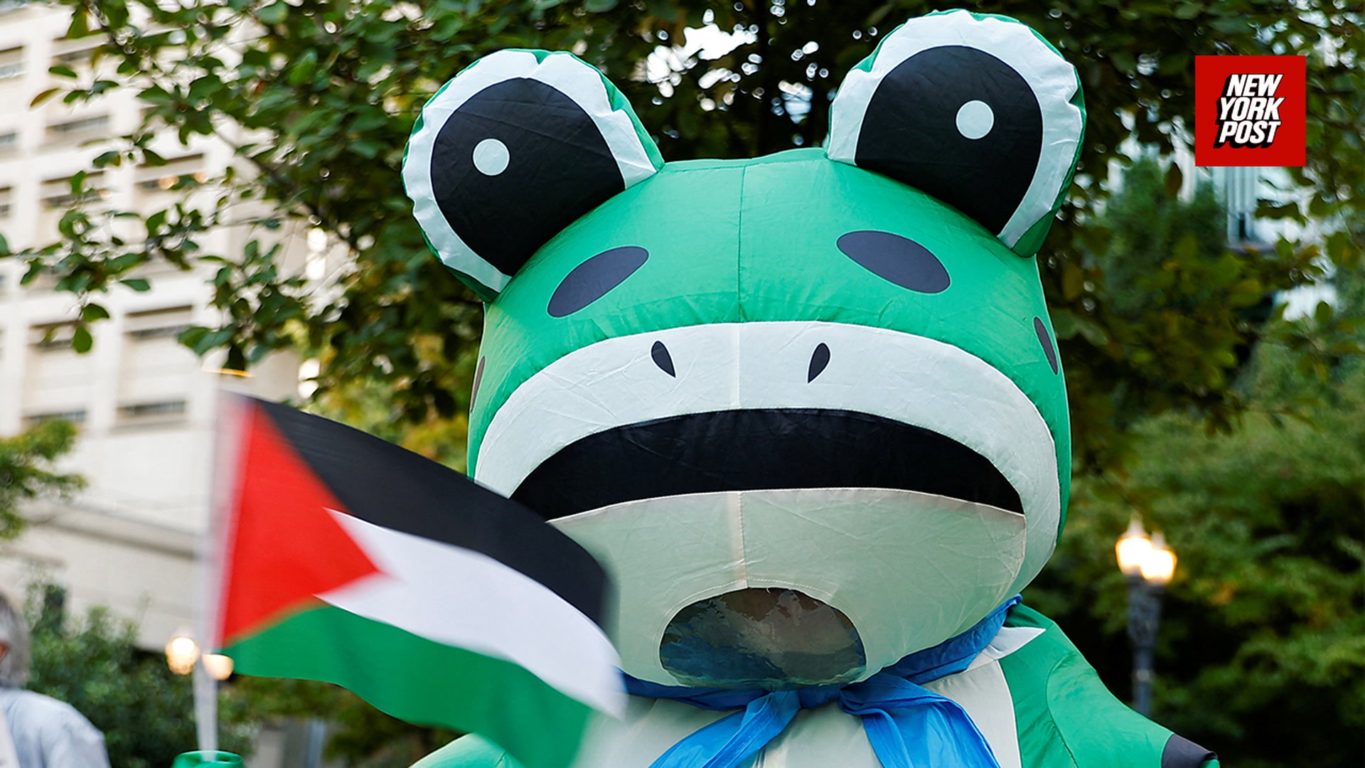 Who is the viral Portland frog? What to know about the costumed protester