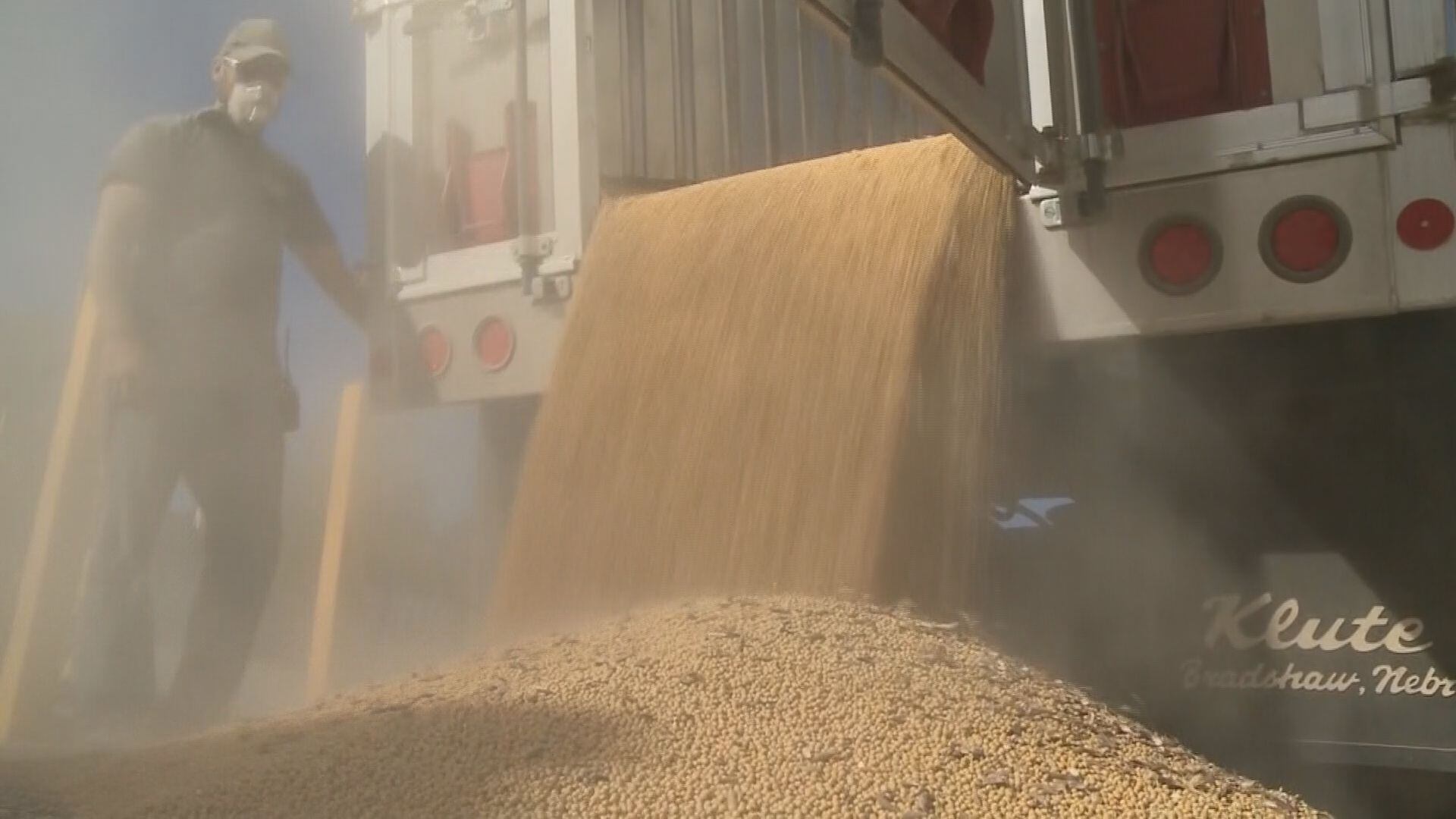 US-China tariff stalemate threatens Nebraska’s soybean industry