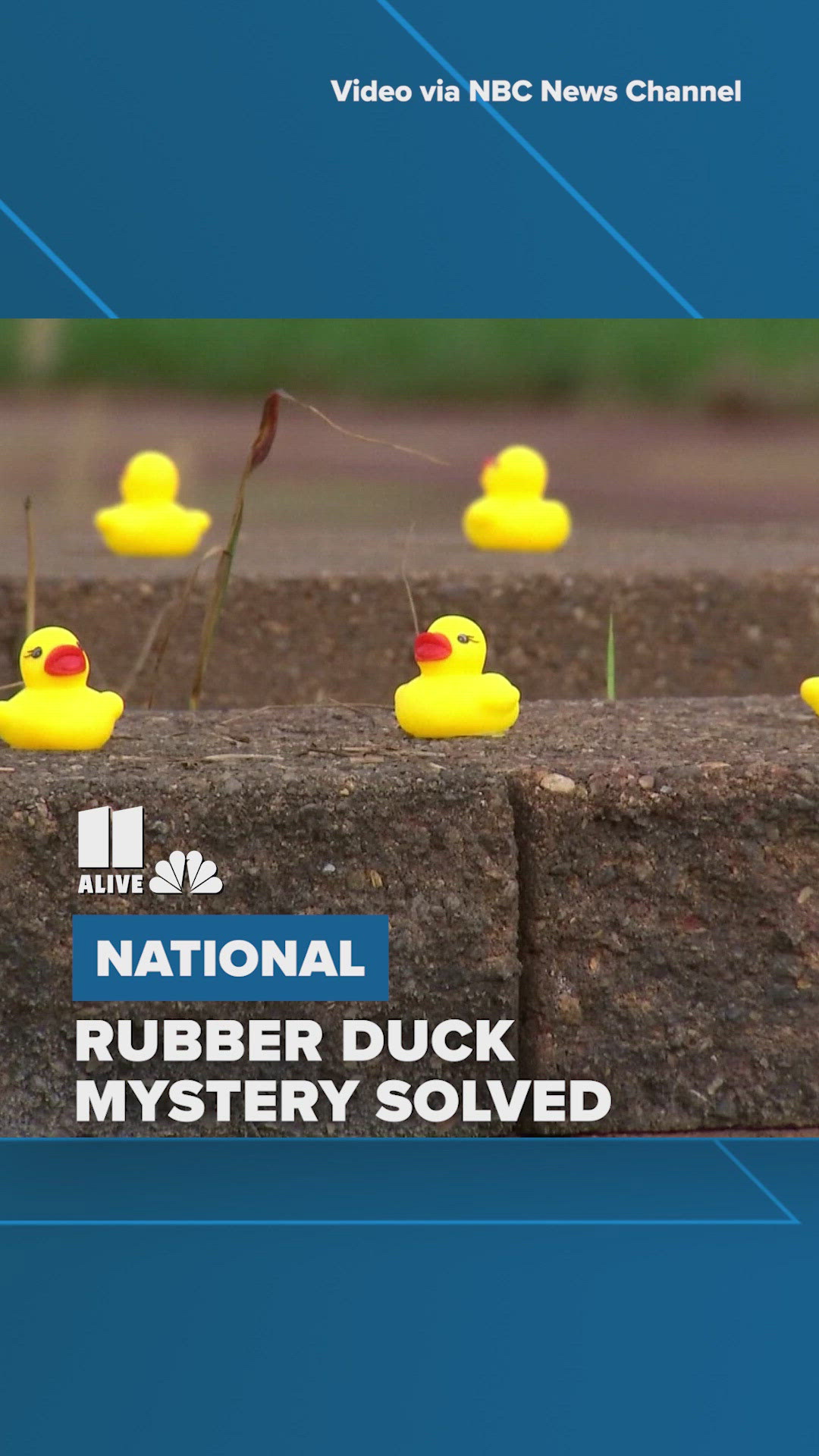 Rubber Duck Mystery Solved