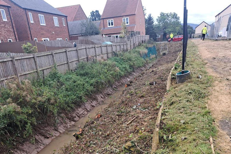 Readers have their say after residents hit out over Stokesley hedgerow ...