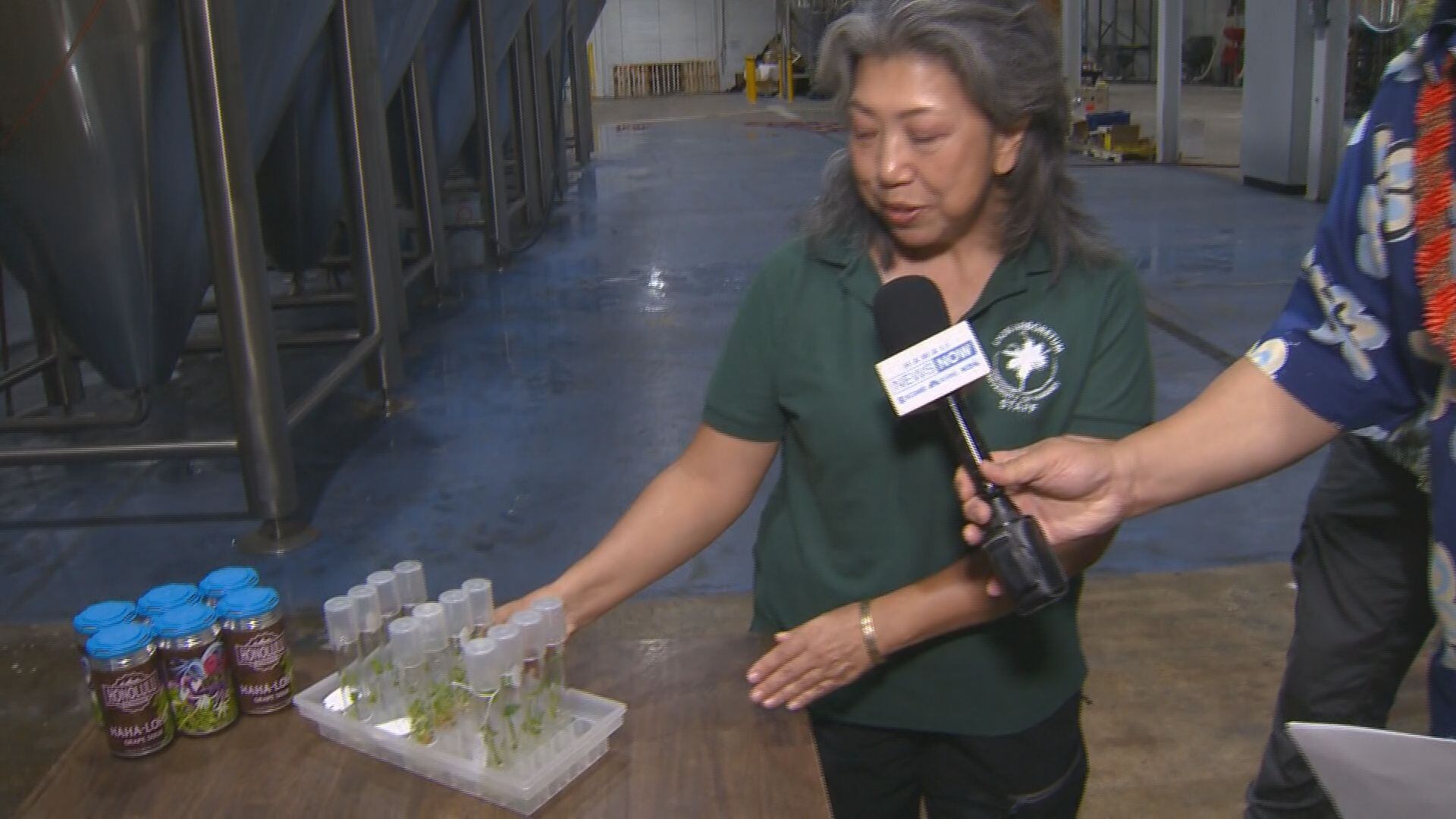 ‘Sip for Seedlings’ event supports conservation of Hawaii’s rarest ...
