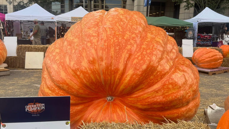 Pumpkin Power: Ohio state record smashed at Operation Pumpkin in Hamilton