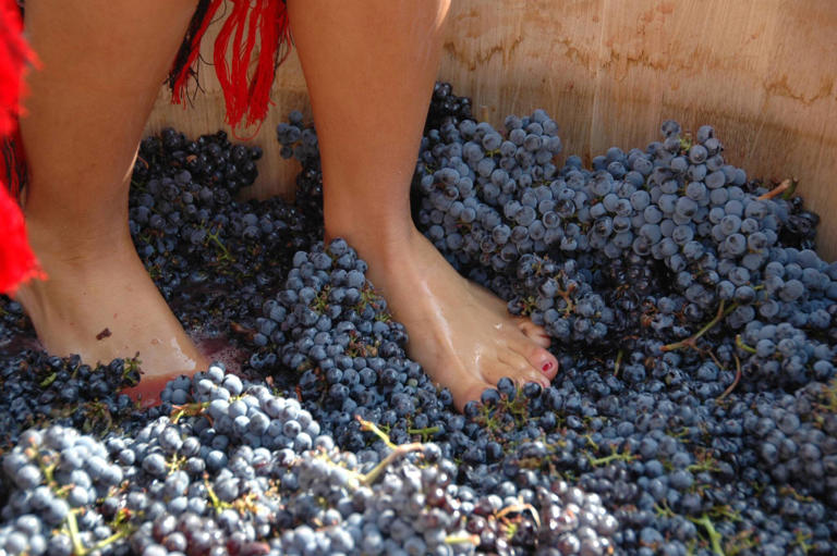 Das Douro-Tal: Ein Herbsttraum für Wein- und Naturliebhaber