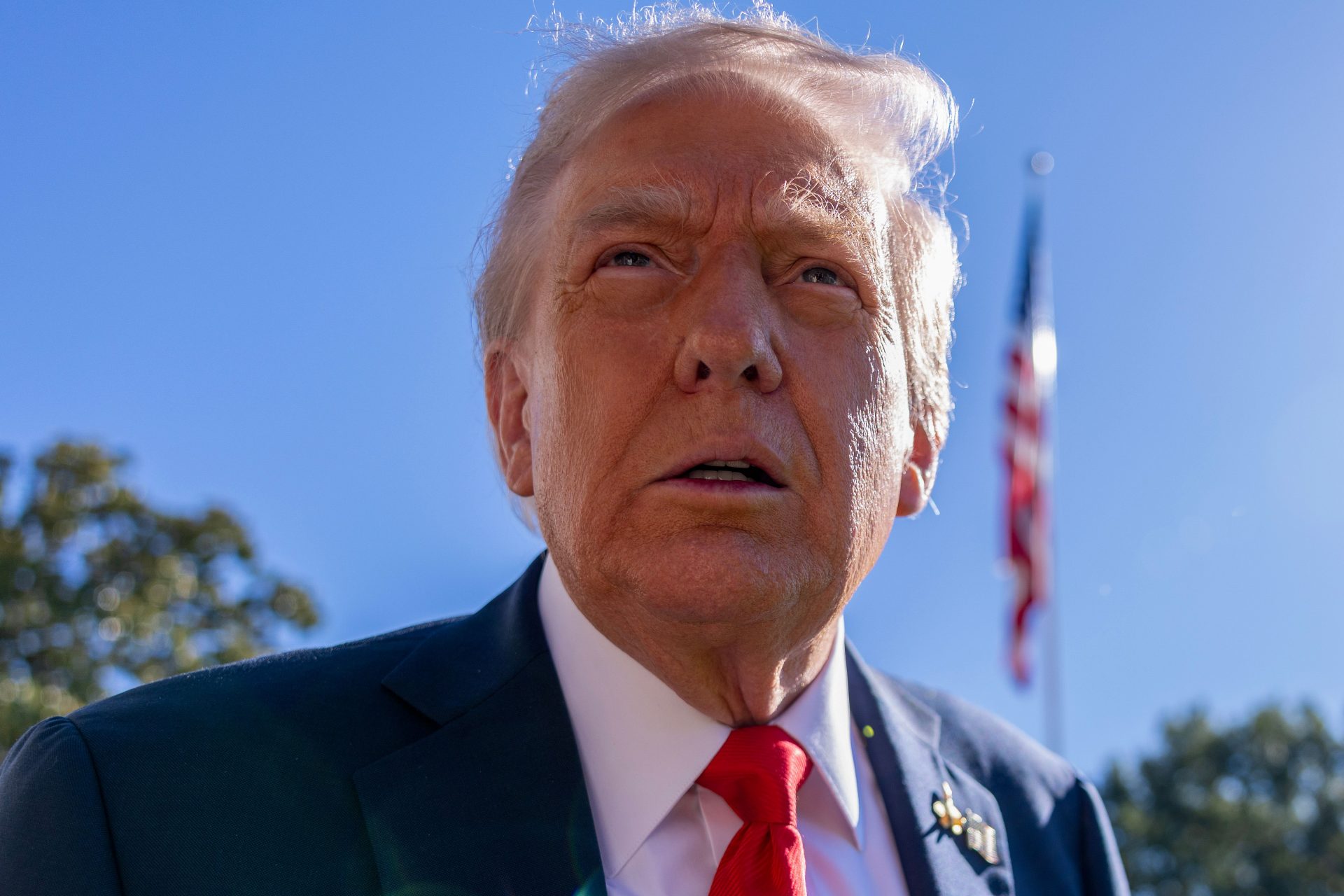 Essential allies: Countries at the heart of bolstering the American ...