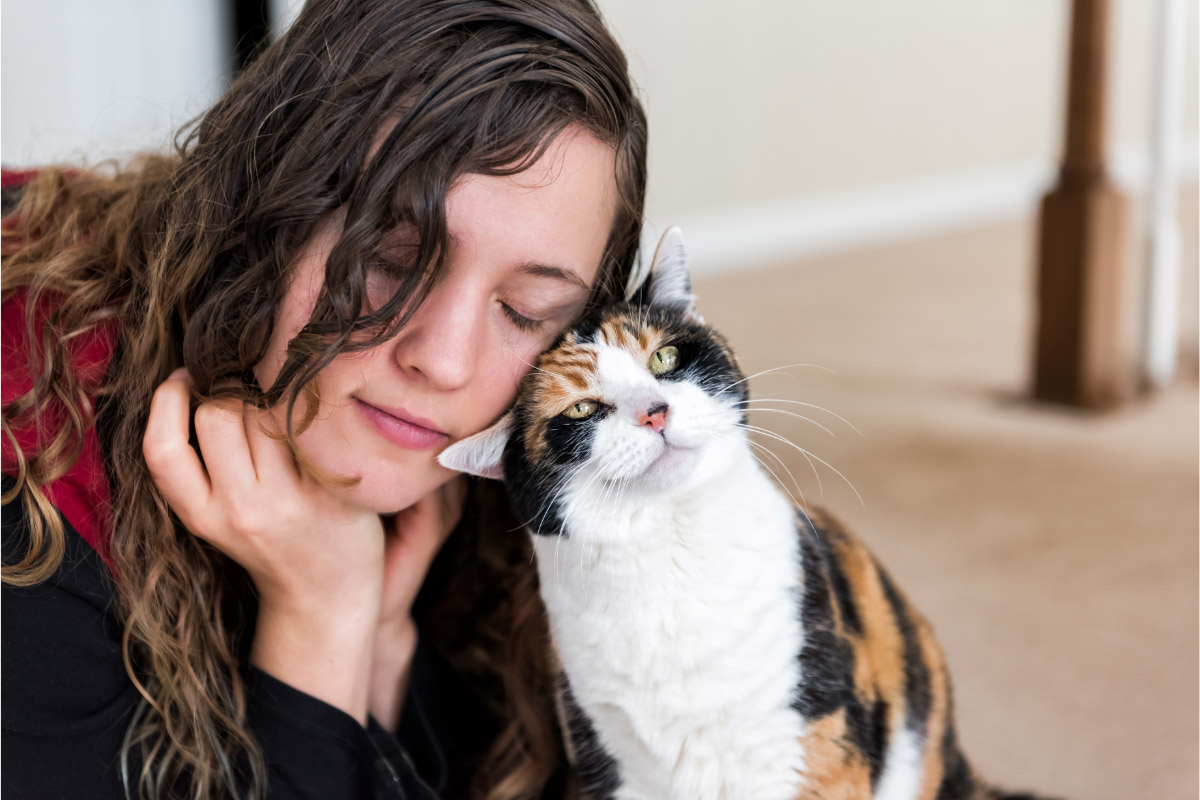 What it really means when your cat rubs their face on everything