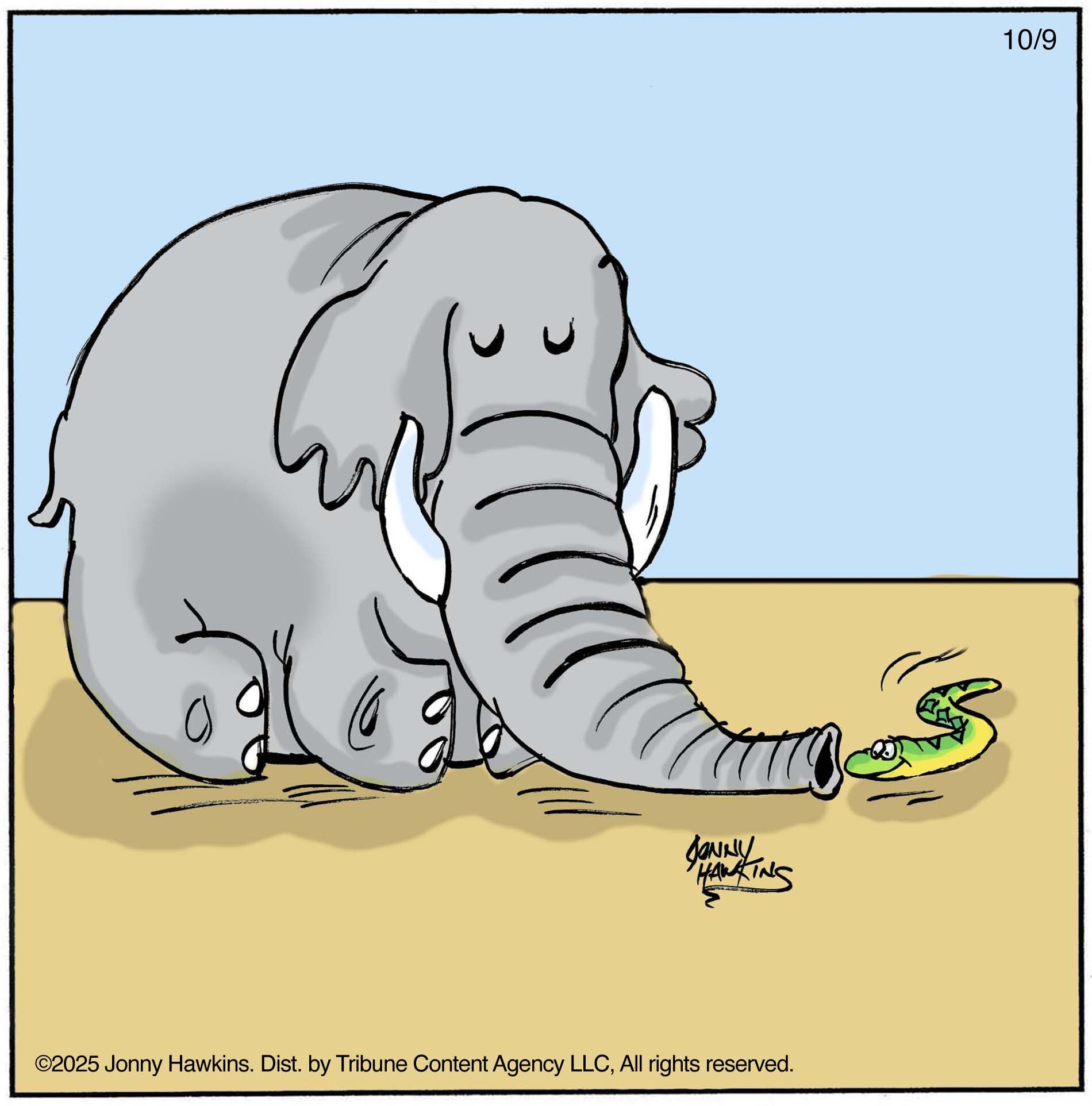 Zoolies by Jonny Hawkins