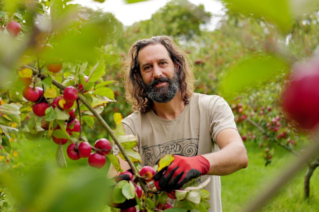 Long hot summer leads to bumper cider crops and booze too strong to ...