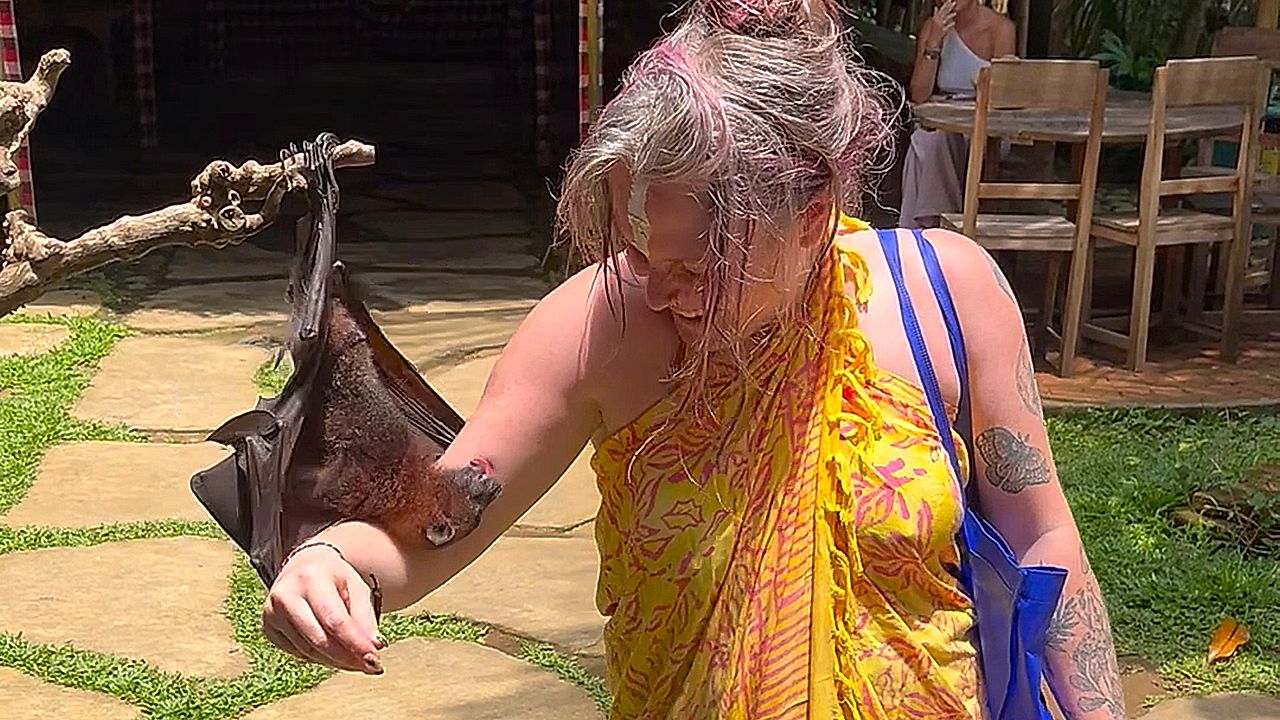 Extremely friendly bat gives woman a hug