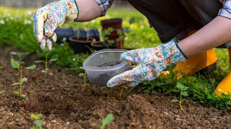 If Your Garden Soil Is One Of These Colors, You Might Have A Problem On ...