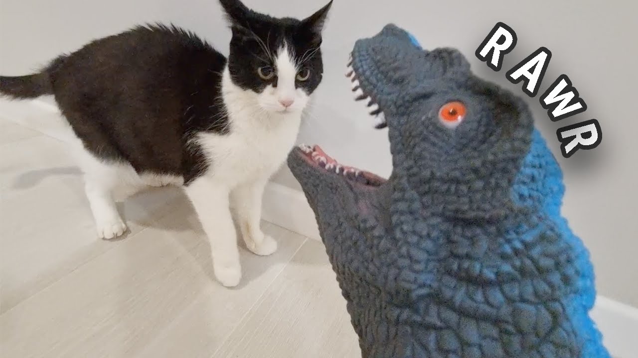 Cat’s First Encounter with Dinosaur