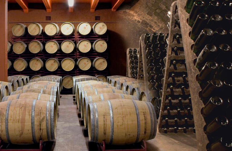 La bodega centenaria de Artés que salvó la variedad de uva picapoll ...