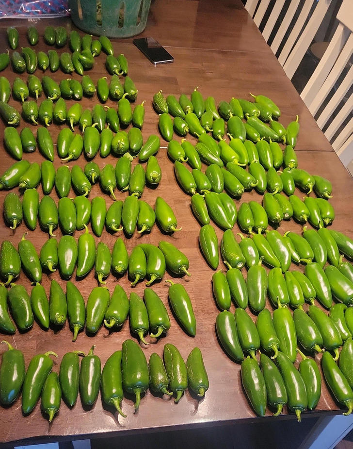 17 Photos Proving That Family Life Isn’t Complete Without a Sense of Humor