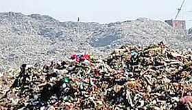 Mumbai garbage crisis : देवनार डम्पिंगवर 185 लाख मेट्रिक टन कचऱ्याचे डोंगर