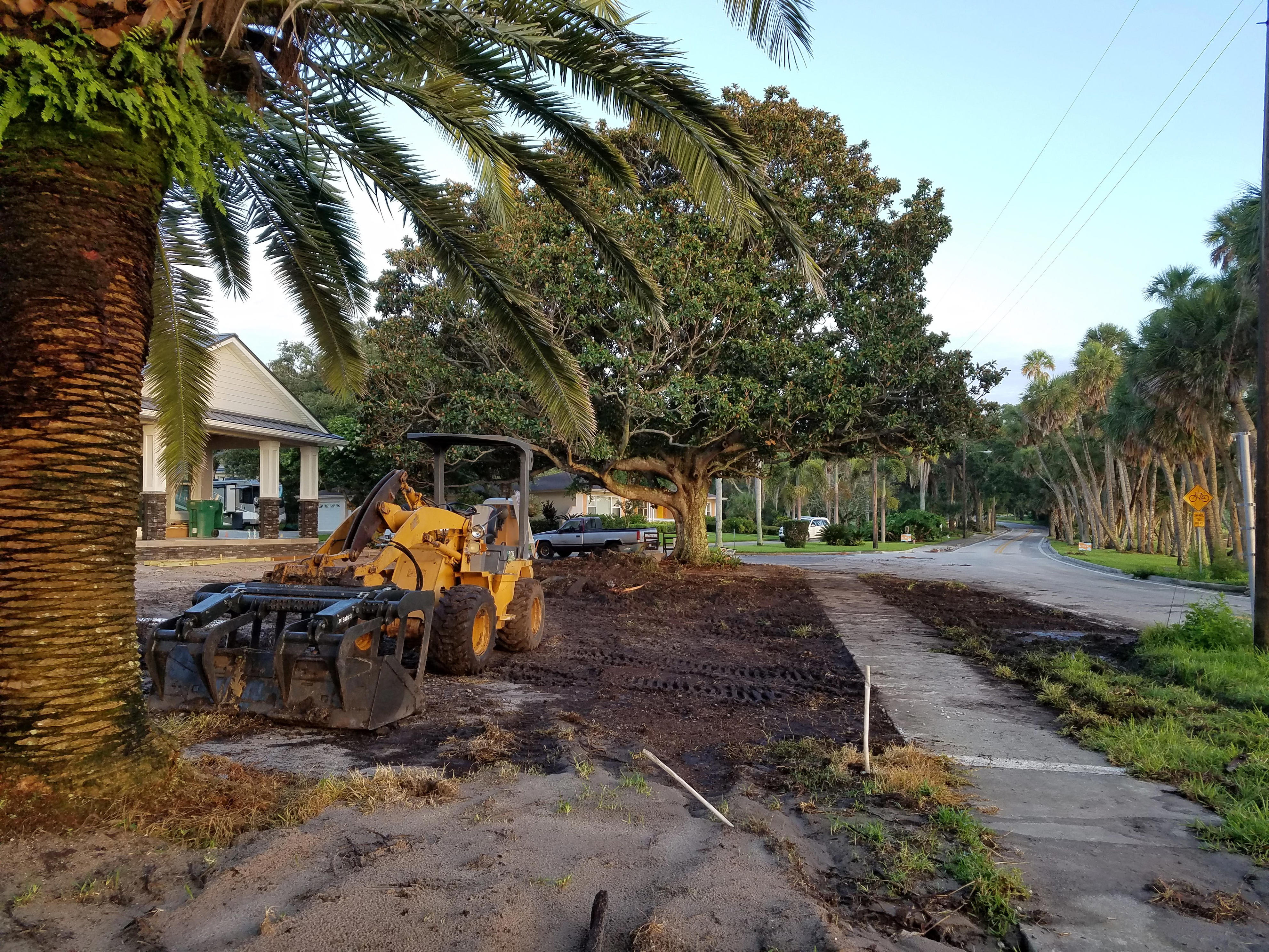 Get to the root of saving trees during construction with these tips ...