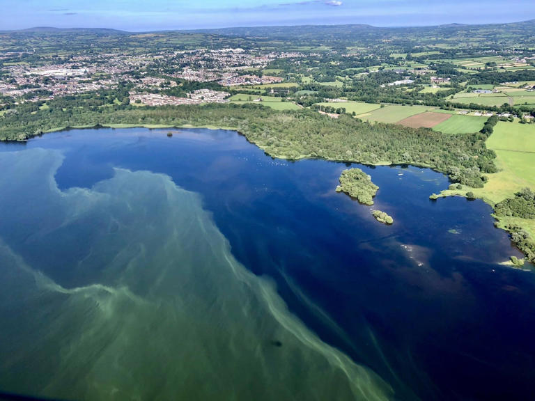 Ulster Unionists 'won't allow farmers to be scapegoated' over Lough ...