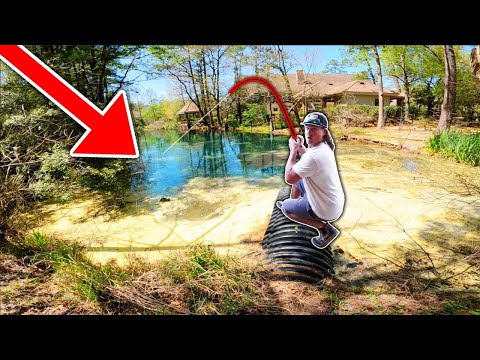 We found hidden gems pond hopping in neighborhoods bank fishing