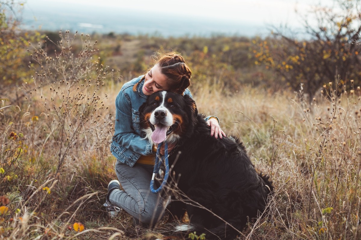 6 Low-Energy Dog Breeds That Are Emotional Anchors, Say Vets