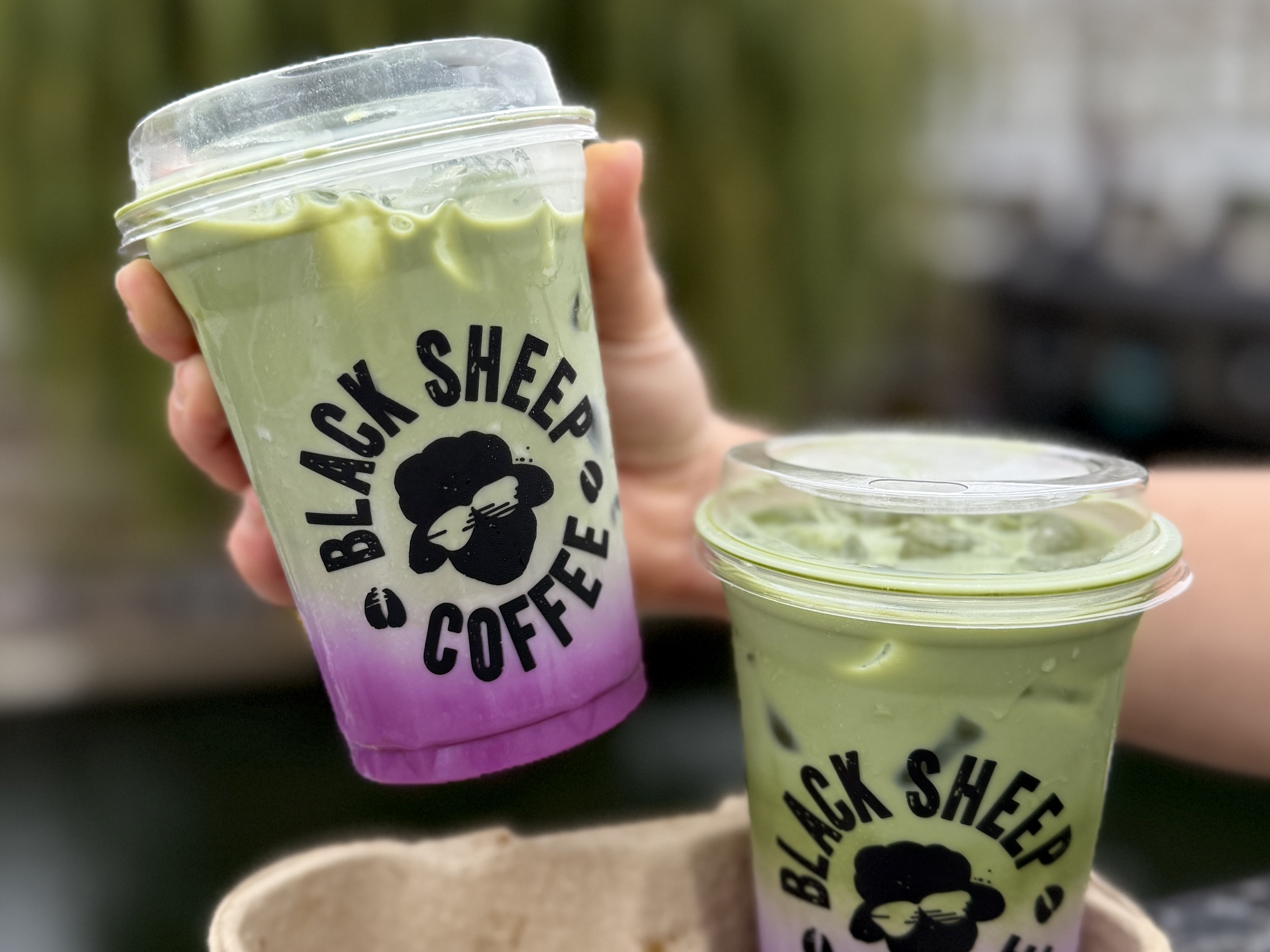 Black Sheep Coffee adds spooky flavour with the new Ube Matcha Latte