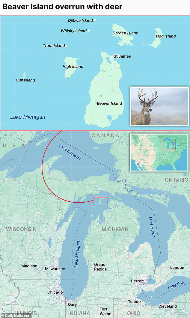 Remote Michigan island faces devastating consequences from being ...