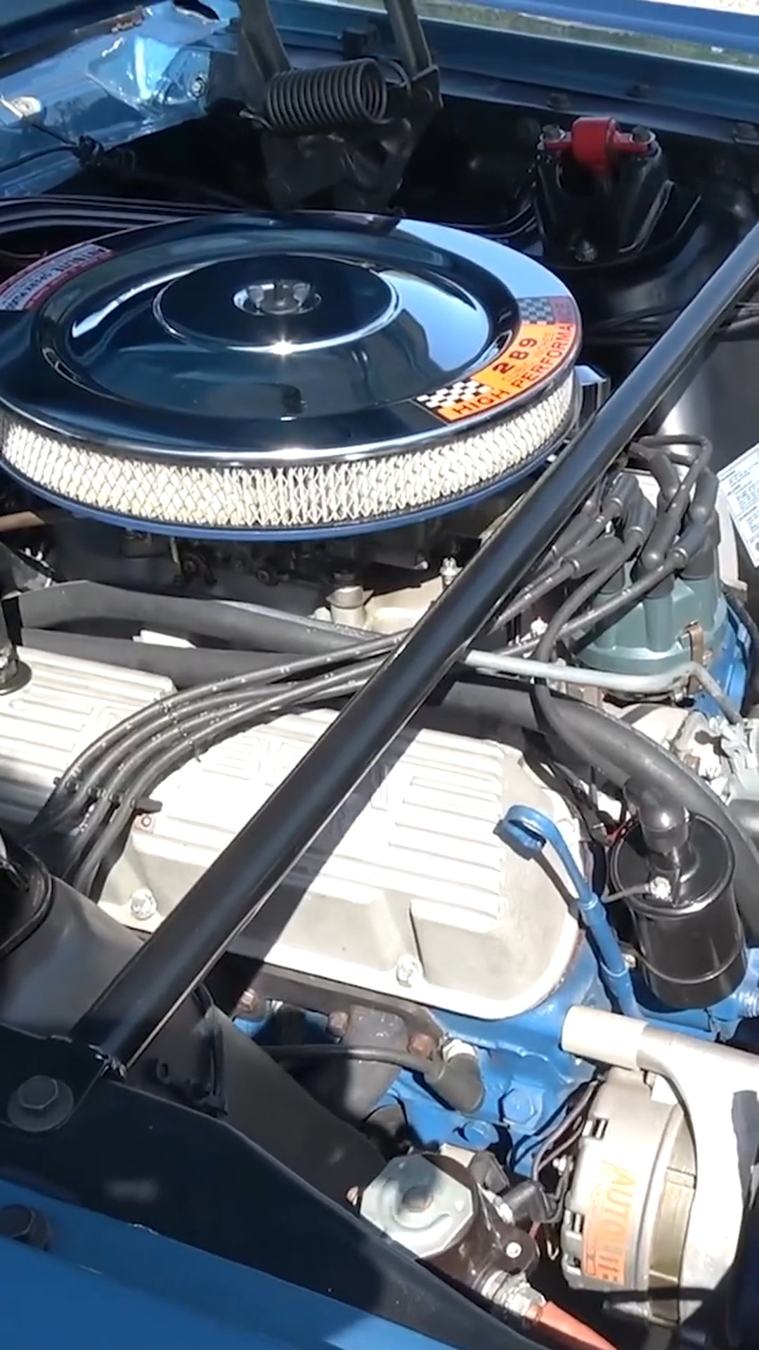 1966 Ford Mustang Shelby GT350