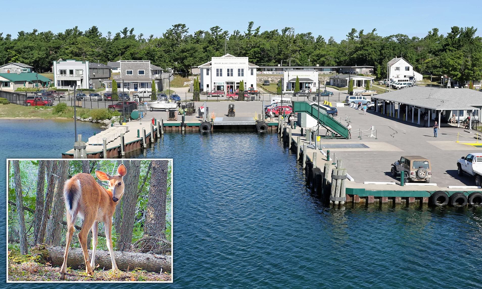 Remote Michigan island faces devastating consequences from being ...