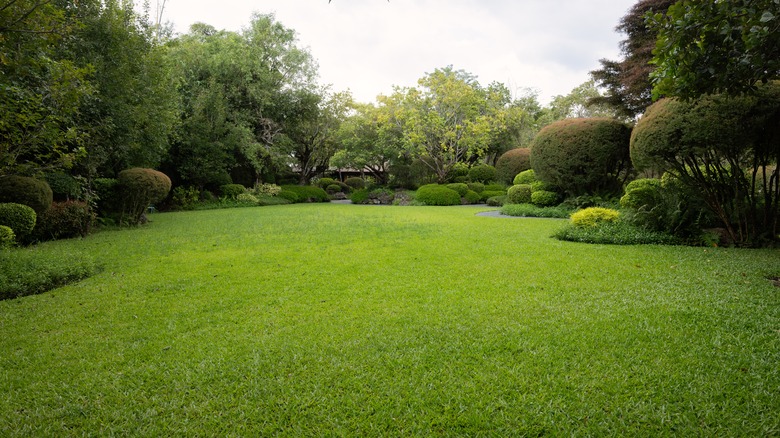 The Climate Sign That It's Time To Rip Up Your Lawn