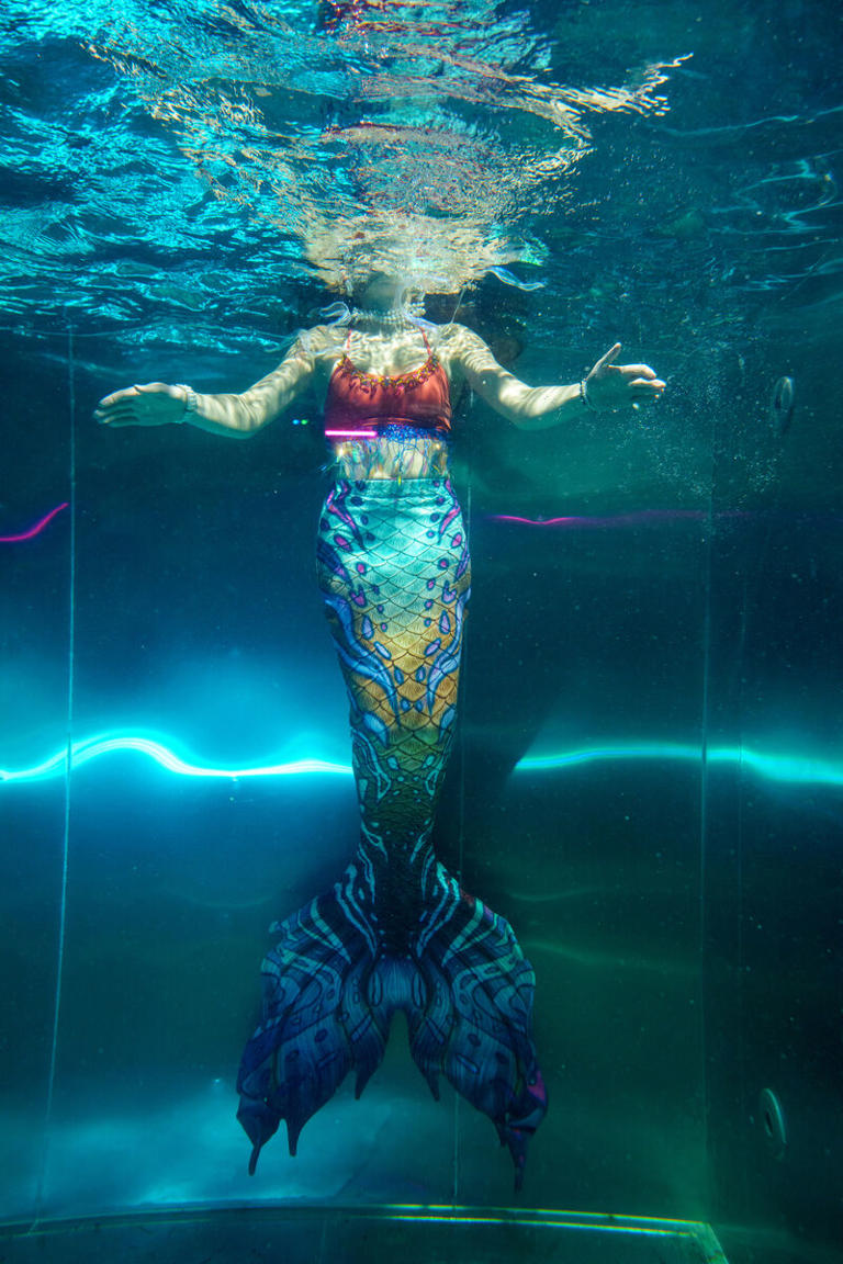 My Life with Monika Nagel: I realised my dream of becoming a ...