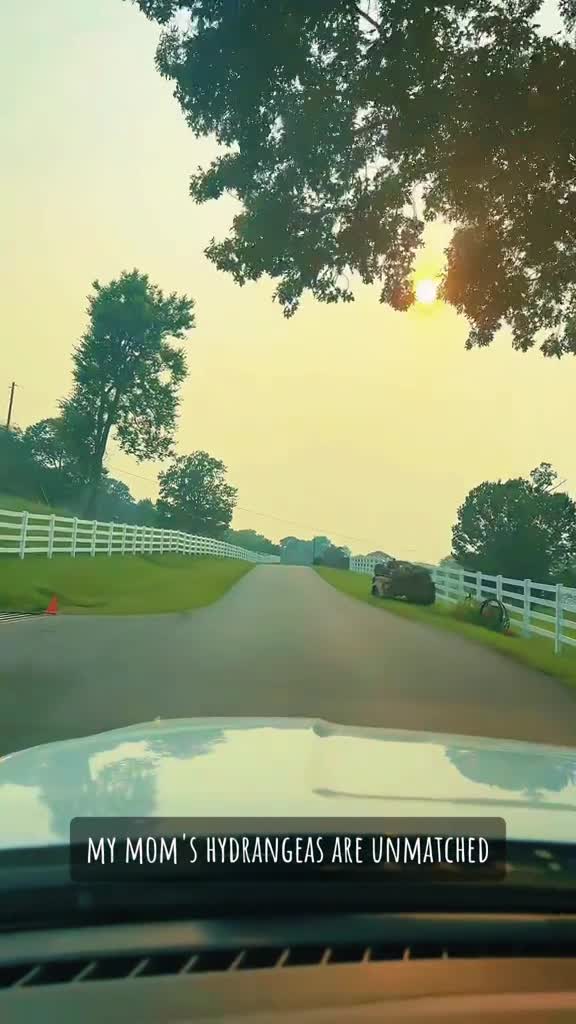 Take a Peaceful Evening Drive Down My Farm Road