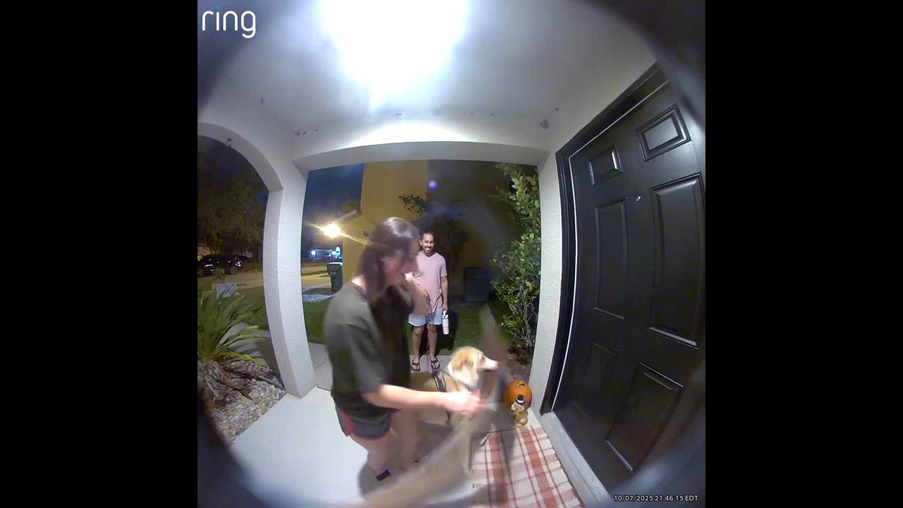 Dog Tries to Bring Huge Stick Inside