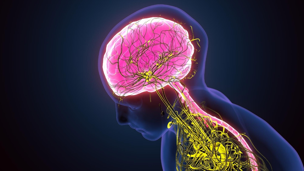 A missing brain molecule could be fueling vascular dementia
