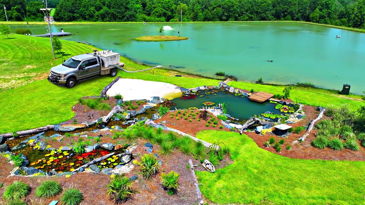 I added 3,000 fish to my new pond!🐟