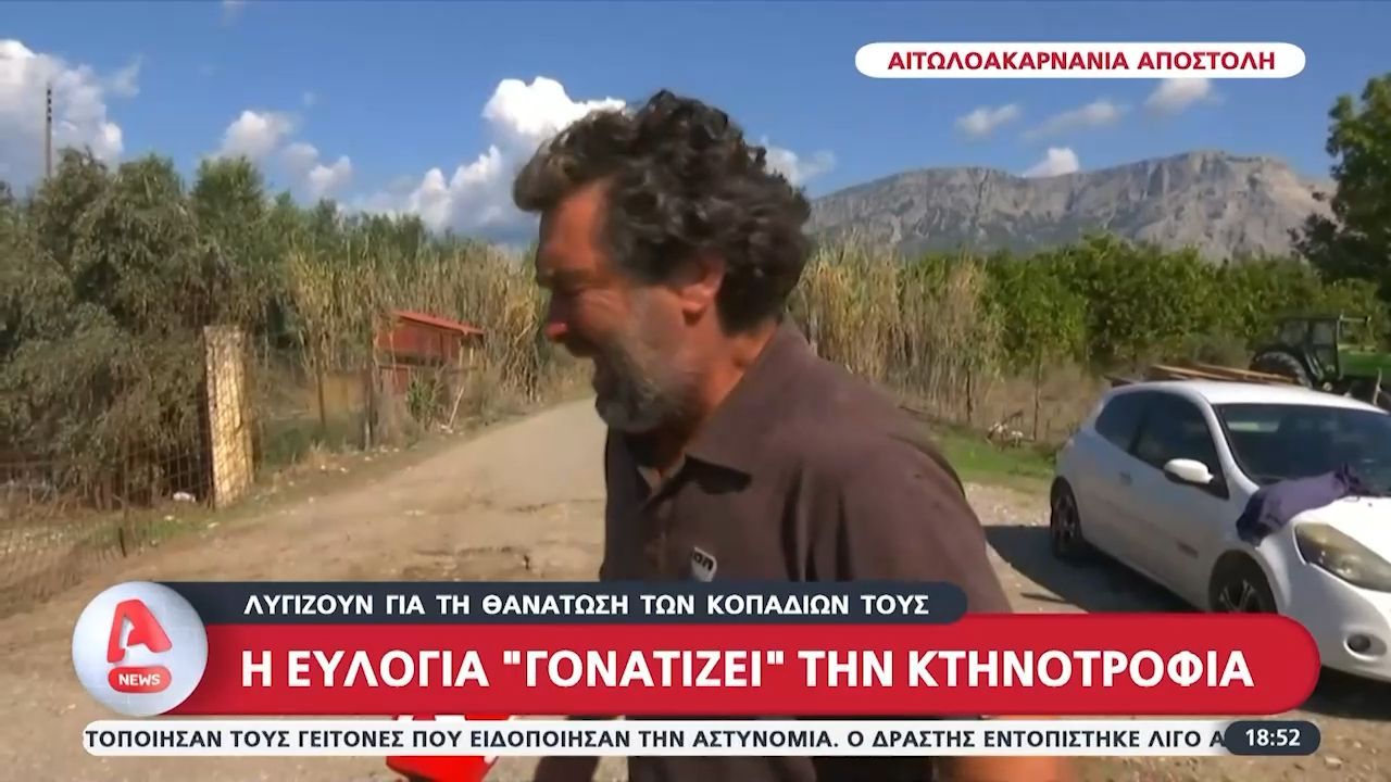 Η ευλογιά "γονατίζει" την κτηνοτροφία - Λυγίζουν για τη θανάτωση των ...