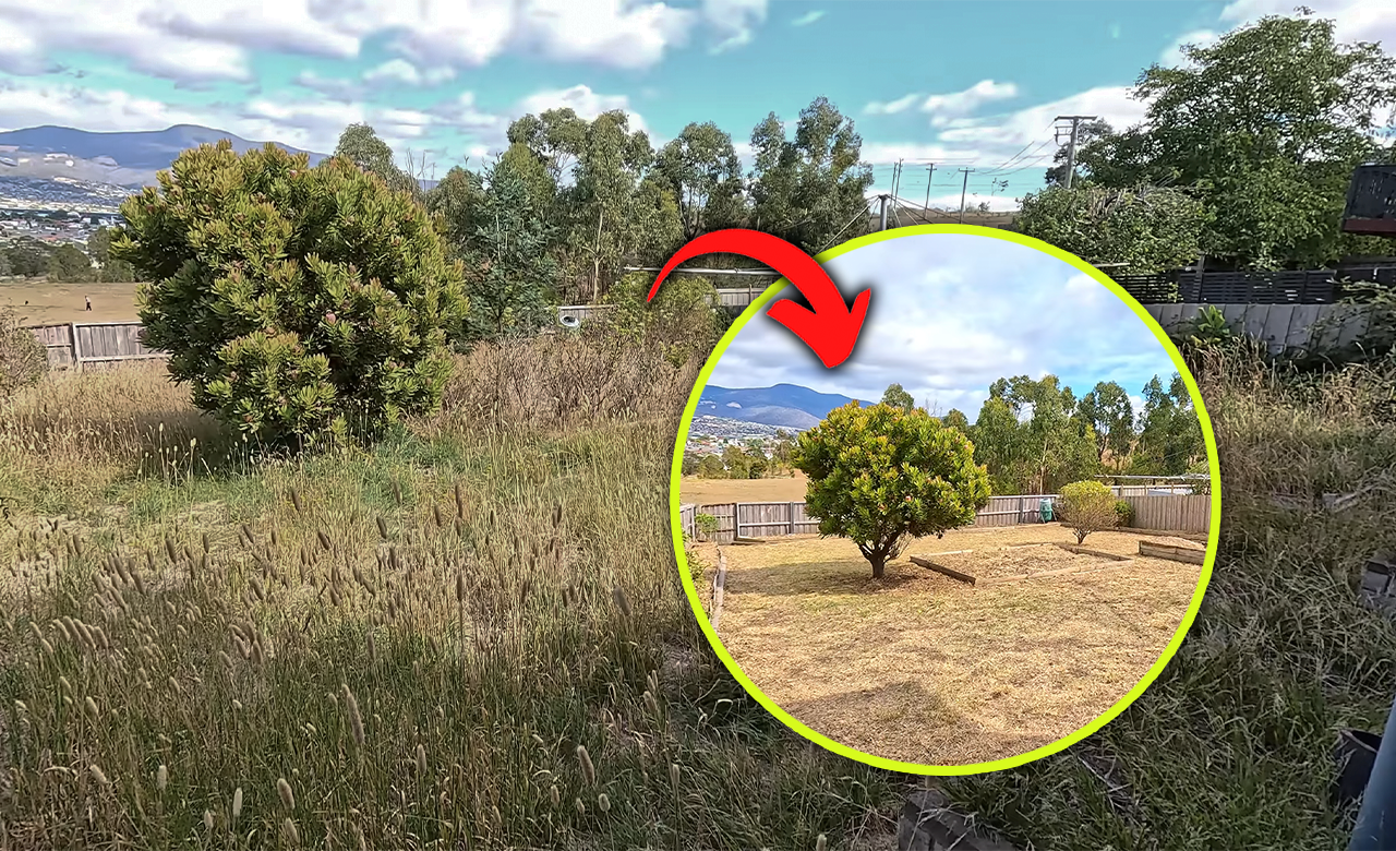 A complete garden revival after six years of neglect