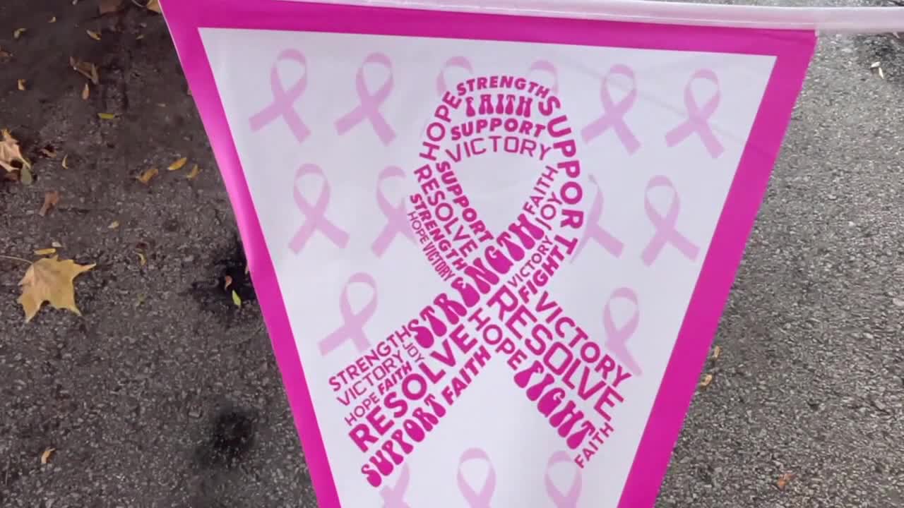 Making Strides Against Breast Cancer walk at Milwaukee's lakefront