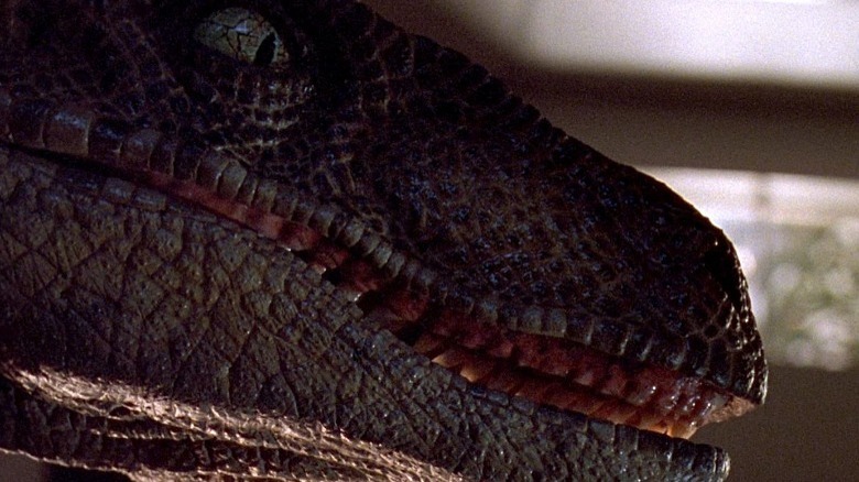 All The Major Differences Between The Jurassic Park Novel And Film