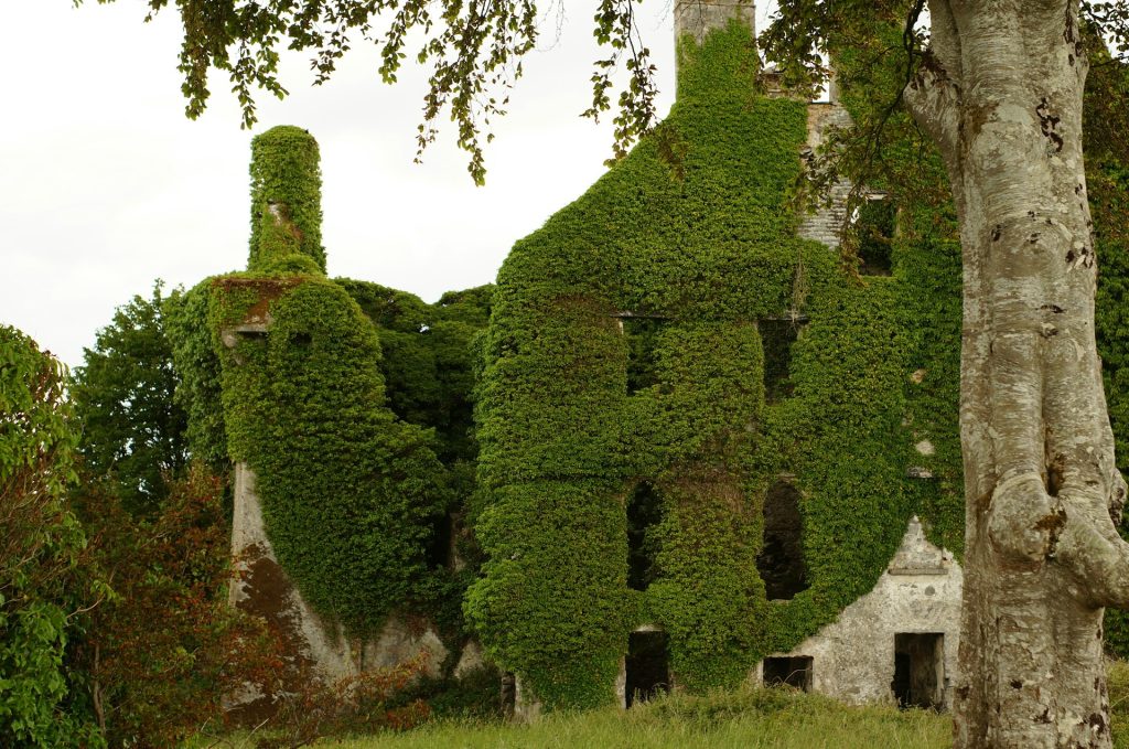 Why Abandoned Castles Fascinate Travelers Today