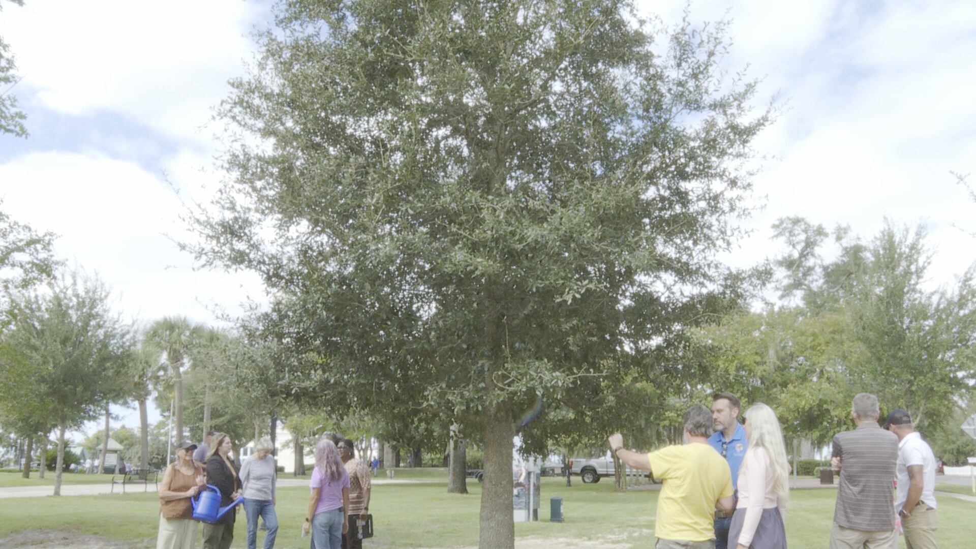Tree planted to mark seven years since Hurricane Michael