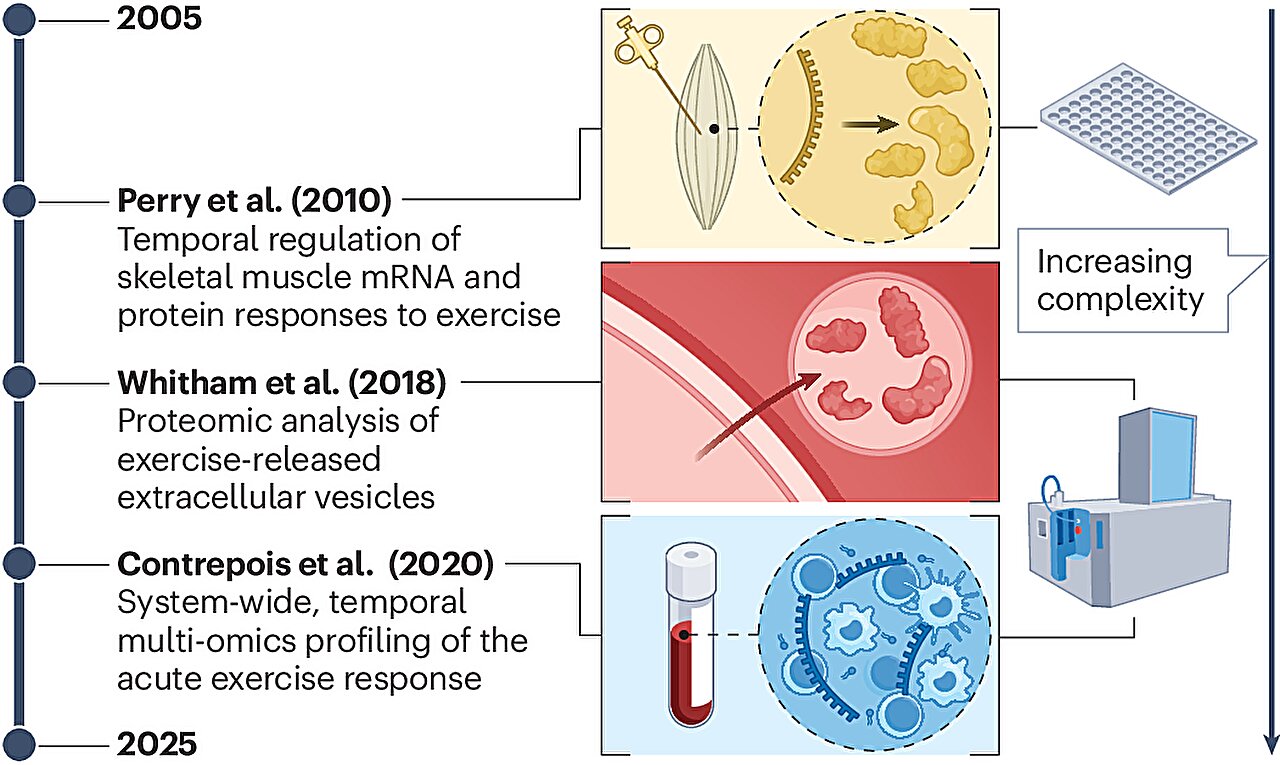 Unlocking the molecular puzzle of exercise: Research maps 20 years of ...