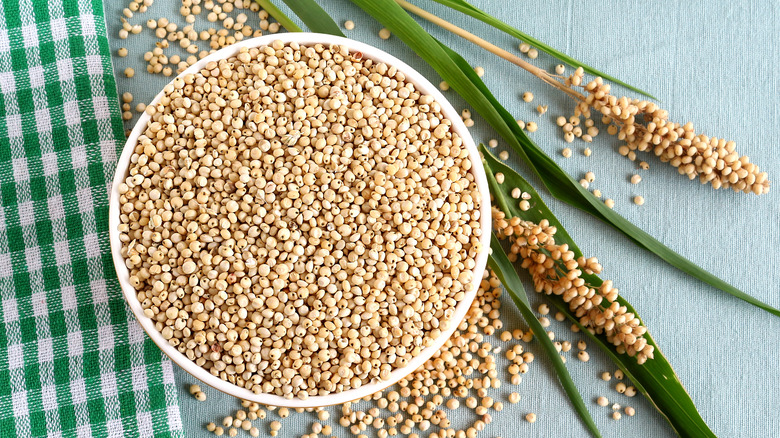 10 Best Molasses Substitutes To Use Instead