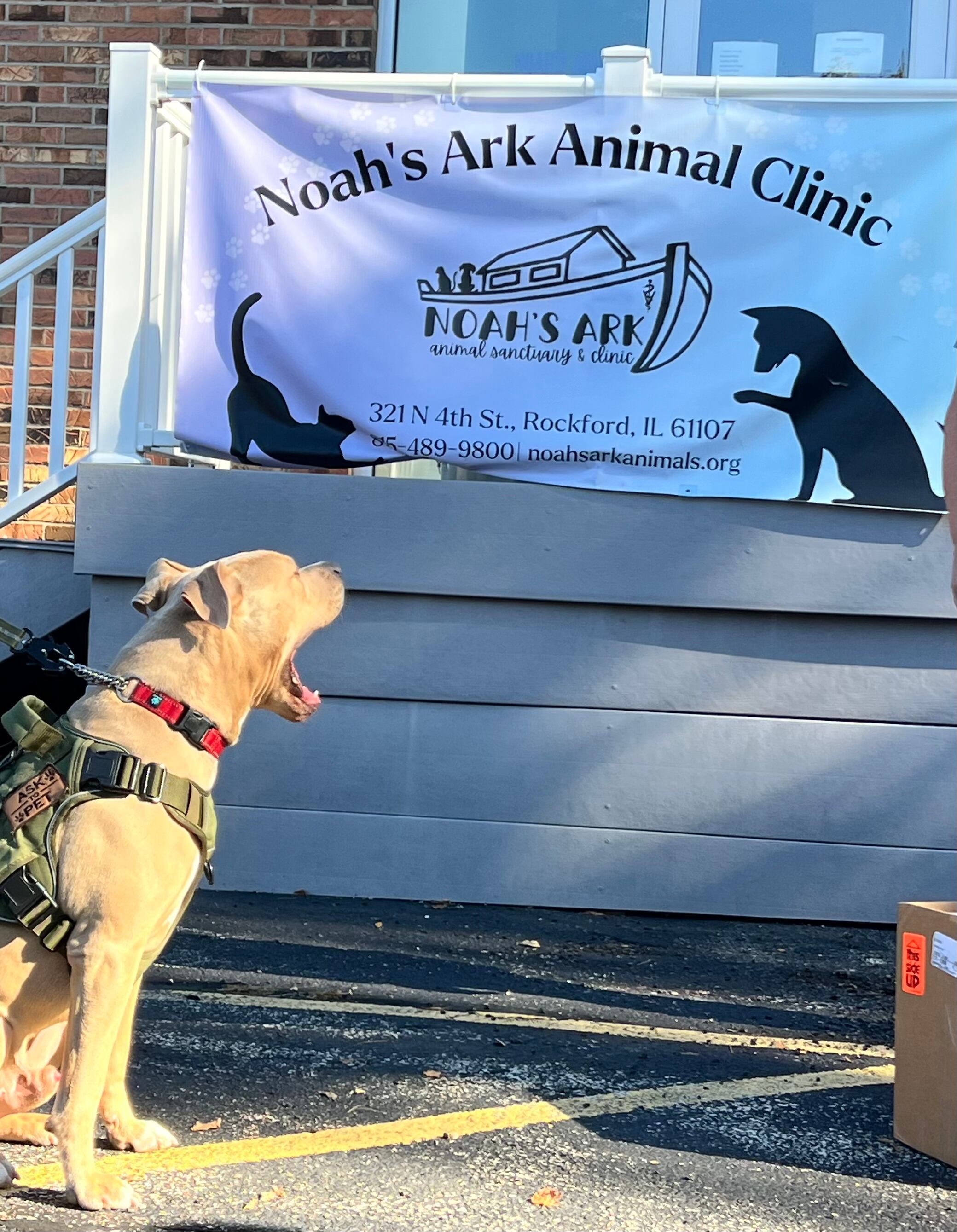 Noah S Ark Animal Clinic Florence Ky