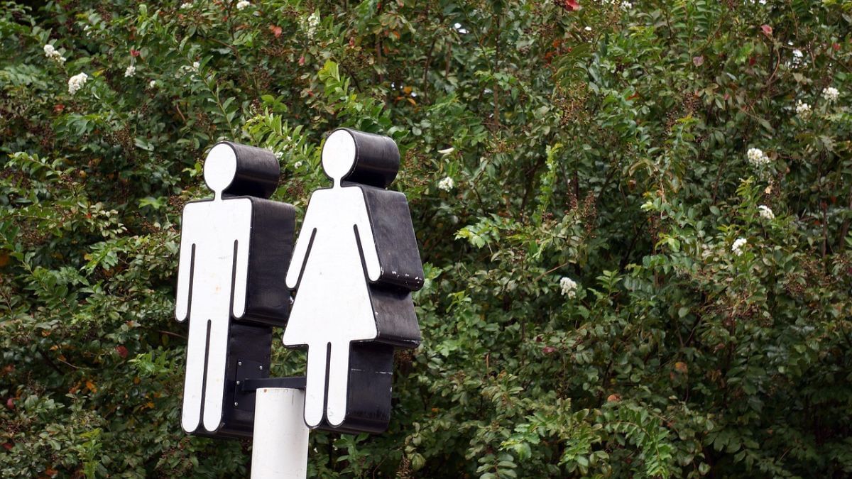 Why do women live longer than men? German anthropologists have an answer