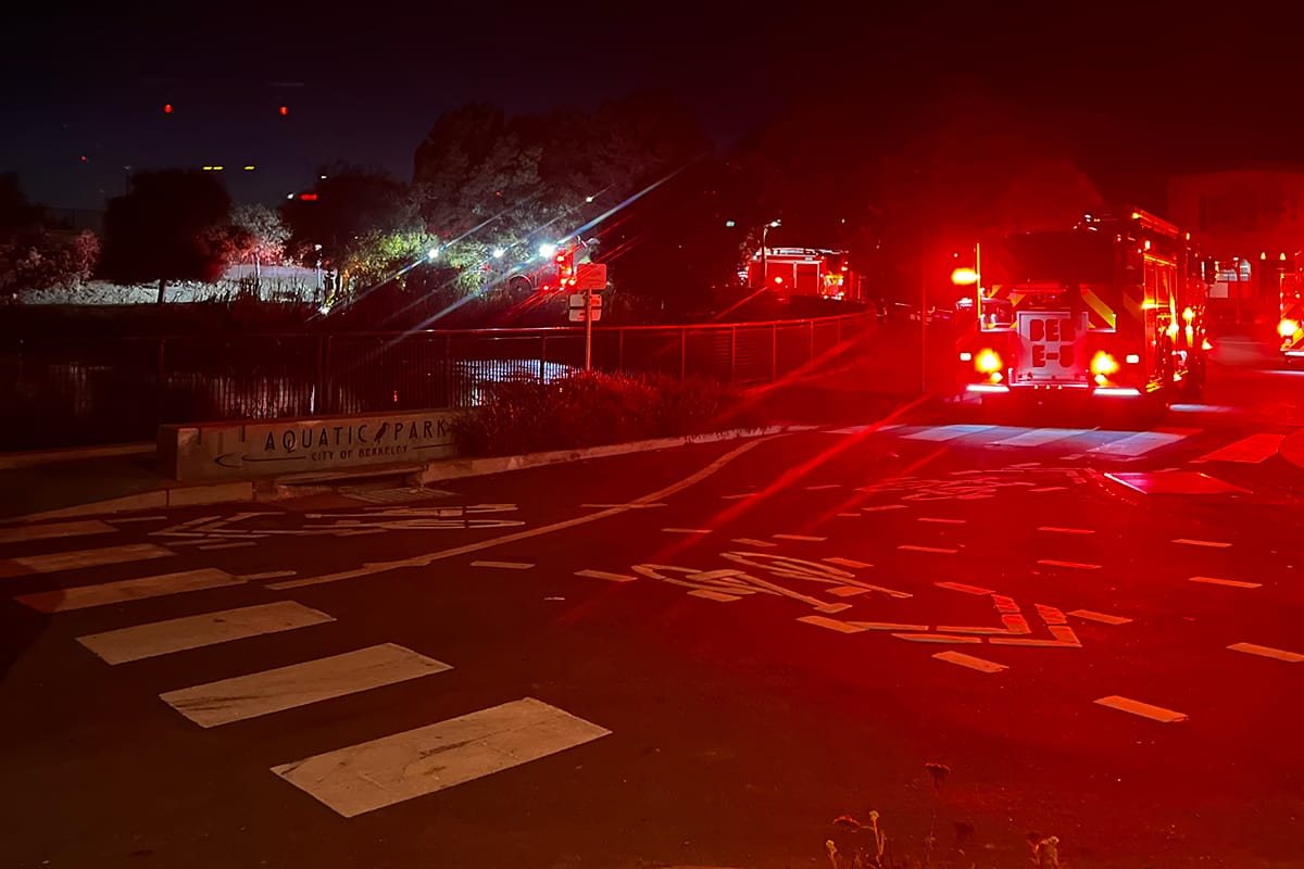 BFD puts out brush fire at Berkeley's Aquatic Park