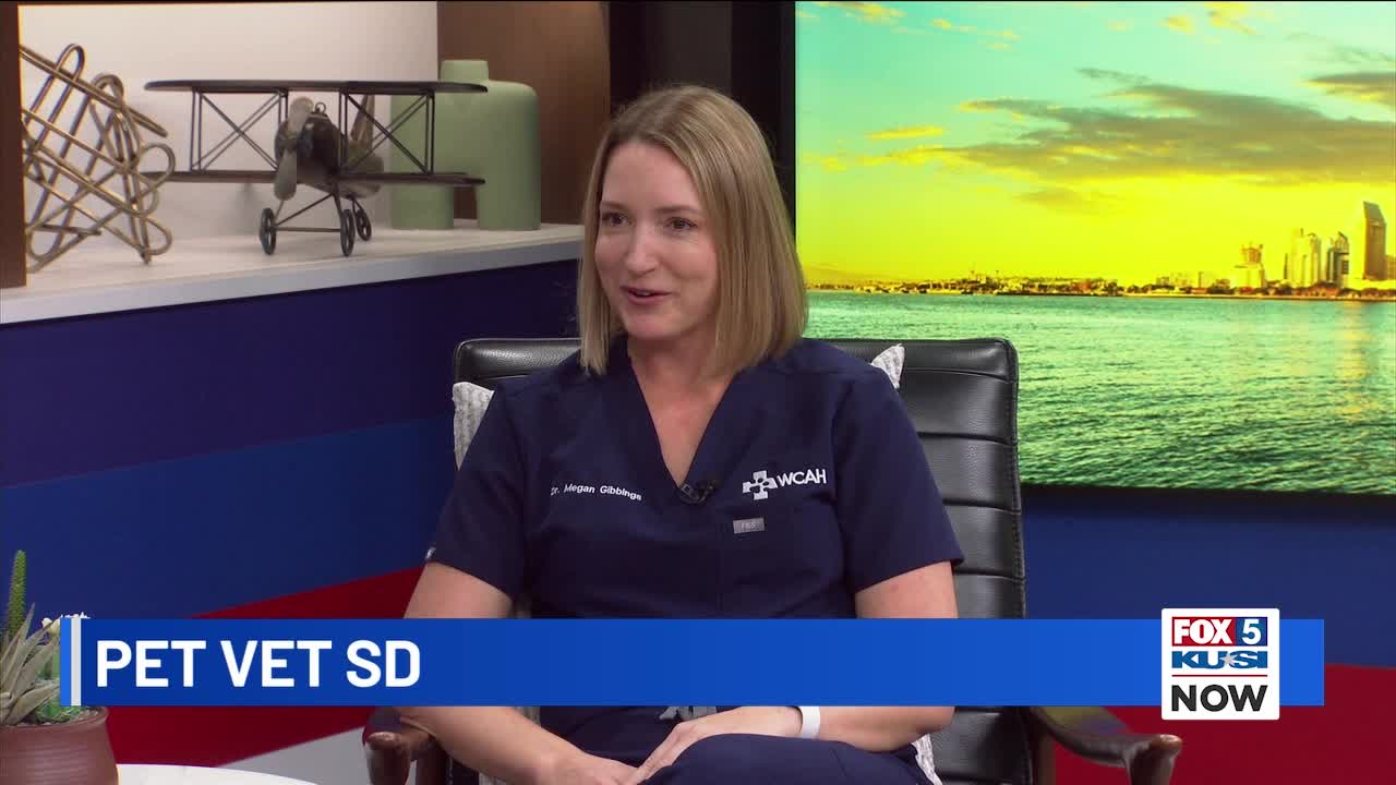 New West Coast Animal Hospital, coyote safety, dental disease | Pet Vet SD