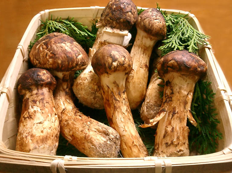 Sai come si cucinano i funghi? C’è una cosa che devi assolutamente evitare