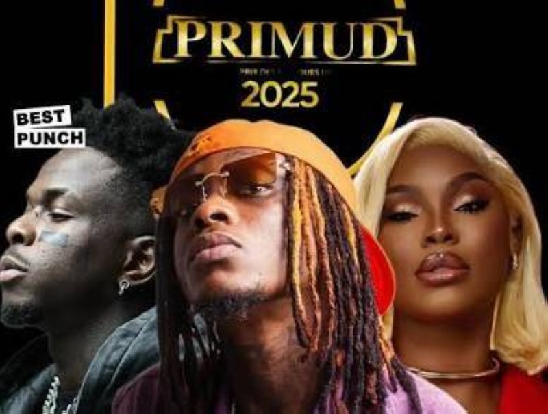 Primud 2025 : L'artiste Himra empoche 30 millions de Fcfa
