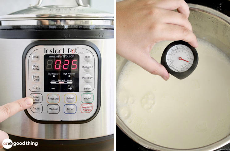 10 Easy Instant Pot Recipes for Quick, Delicious Meals