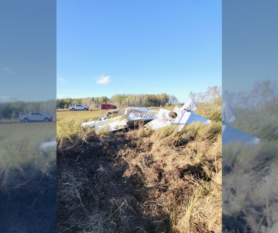 Missing dog found days after Aitkin County plane crash, 1 still ...